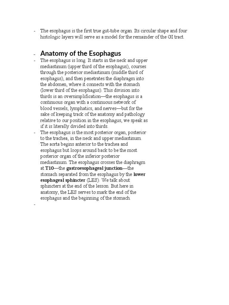 Esophagus Anatomy And Physiology Pdf Esophagus Epithelium