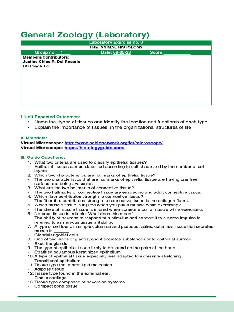 Laboratory Worksheet 3 The Animal Histology | PDF | Epithelium | Tissue ...