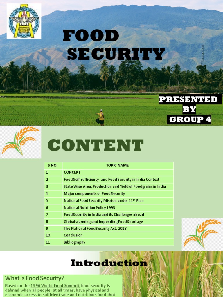 FOOD SECURITY SLIDES Final | PDF | Food Security | Economies