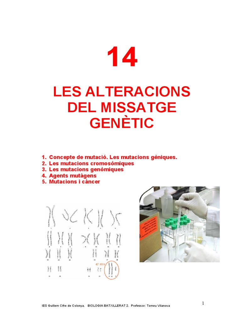 T14 Mutacions | PDF