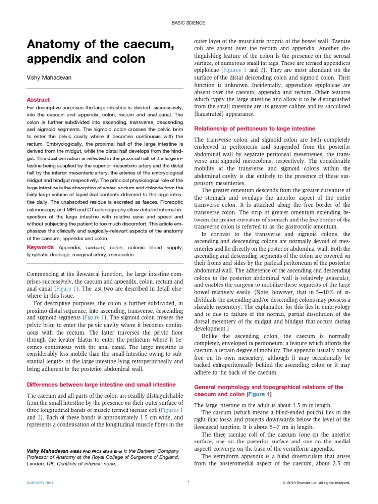 Anatomy of The Caecum Appendix and Colon | PDF
