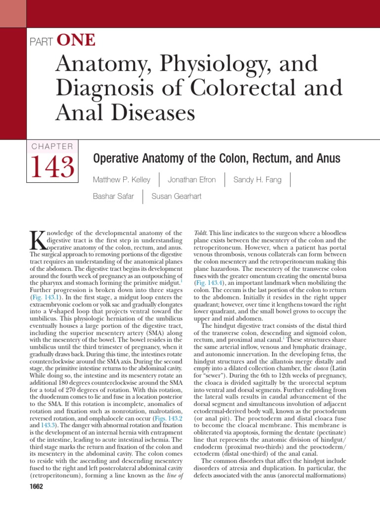 Understanding Toldt's Line in Surgery | PDF | Large Intestine ...
