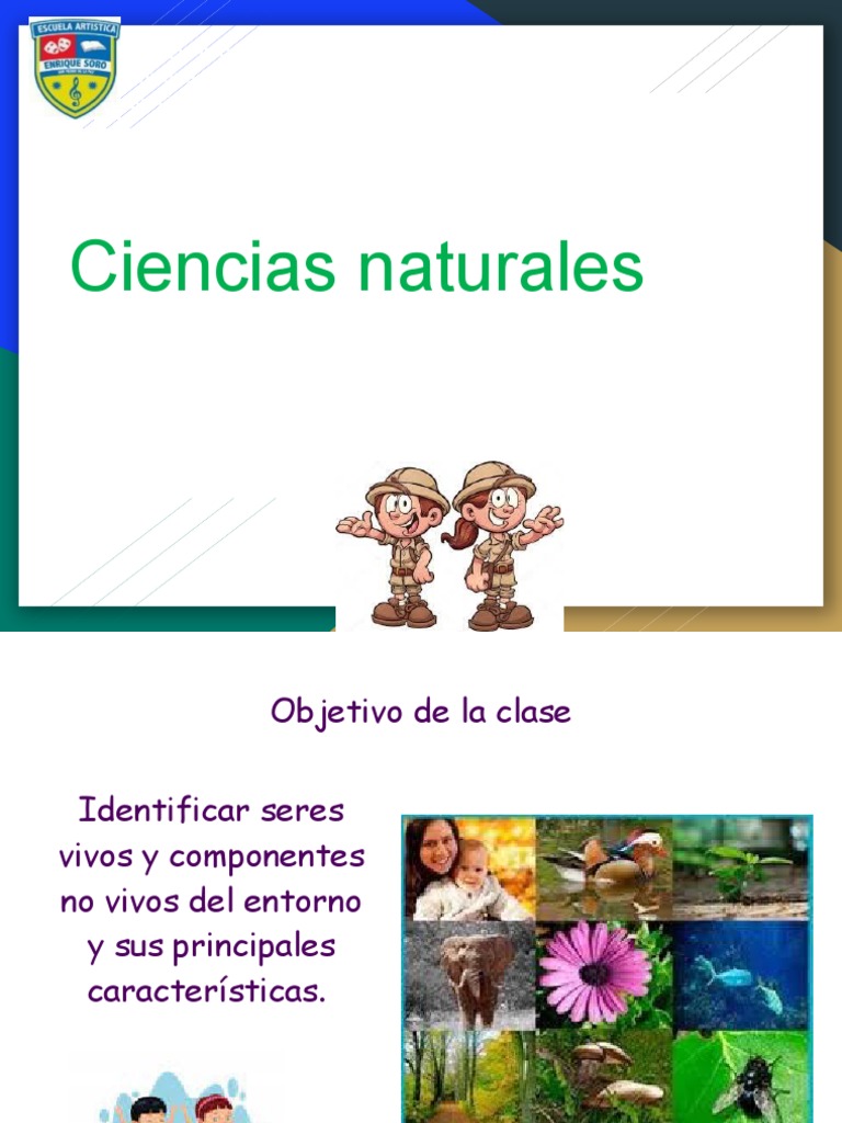 Identificación de Seres Vivos y No Vivos | PDF | Reproducción | Biología