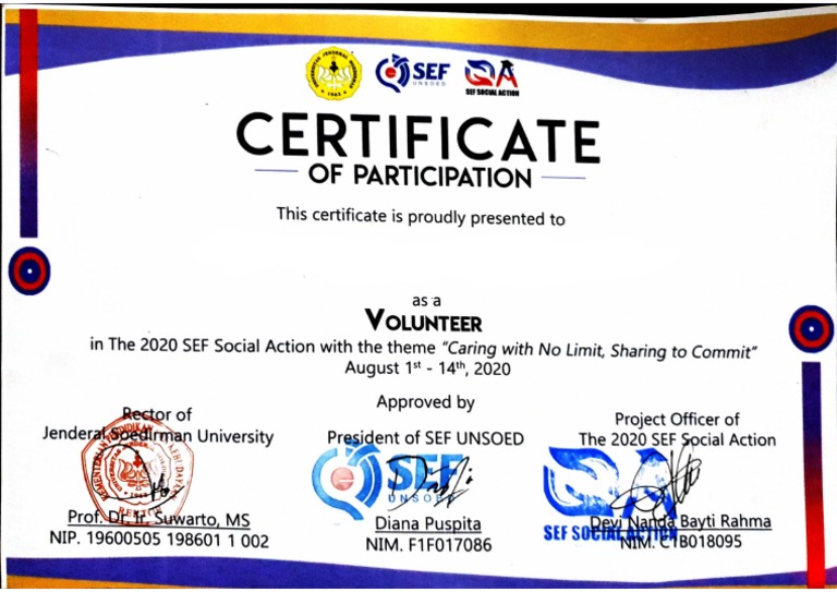 Webinar Certificate Pdf