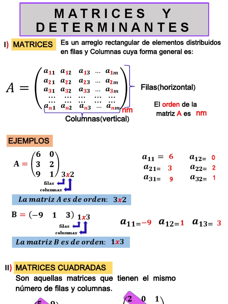 Matrices y Determinantes Intro 1 | PDF | Matriz (Matemáticas ...