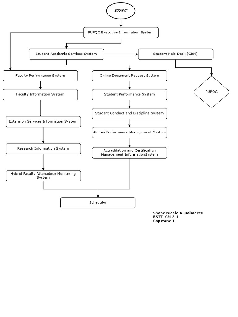 PUPQC Executive Information Systems Overview | PDF