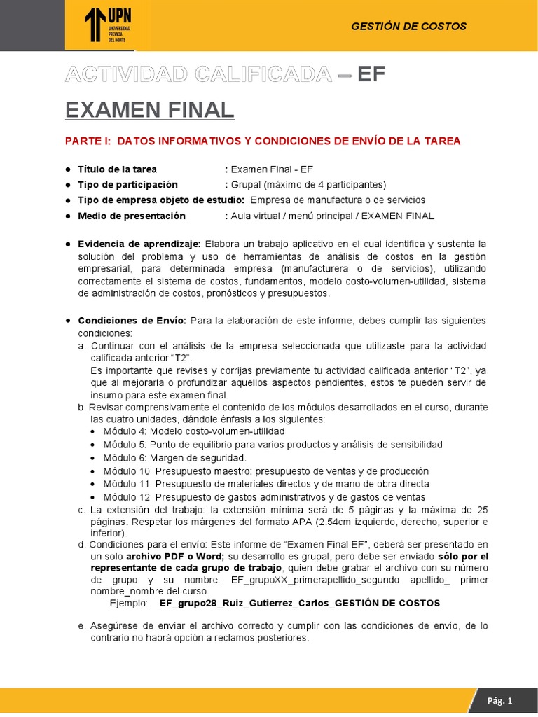 Formato Tarea EF | PDF | Presupuesto | Business