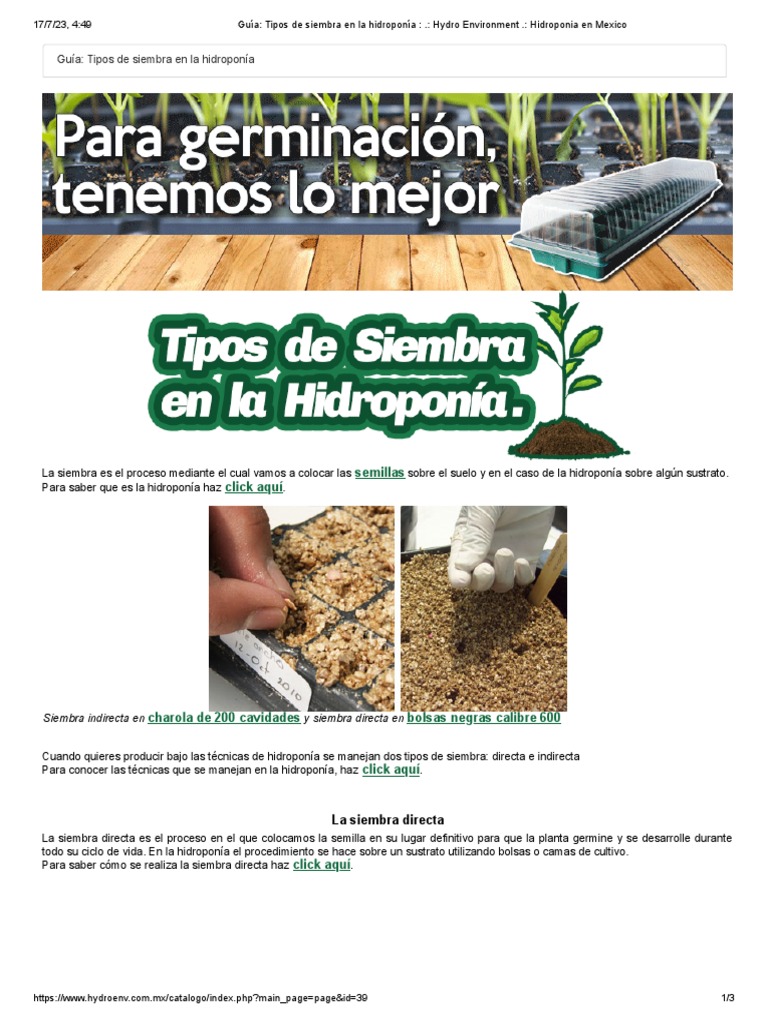 Tipos de Siembra en Hidroponía | PDF | Hidroponia | Siembra