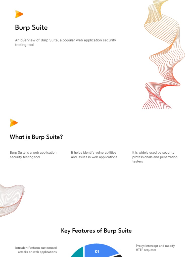 Burp Suite | PDF | Business | Technology & Engineering