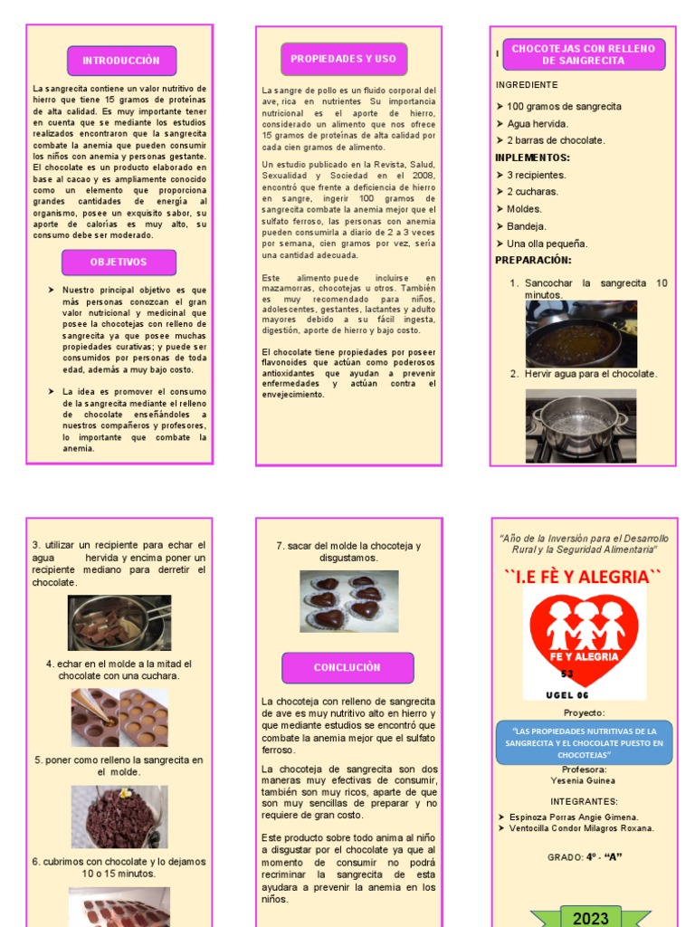 Triptico Chocoteja de Sangrecita | PDF | Nutrición | Dieta y nutrición
