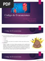 Cartel de Zuspan | PDF