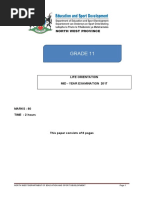 LO Grade 11 Revision Booklet Term 1 - 2023 | PDF | Democracy ...