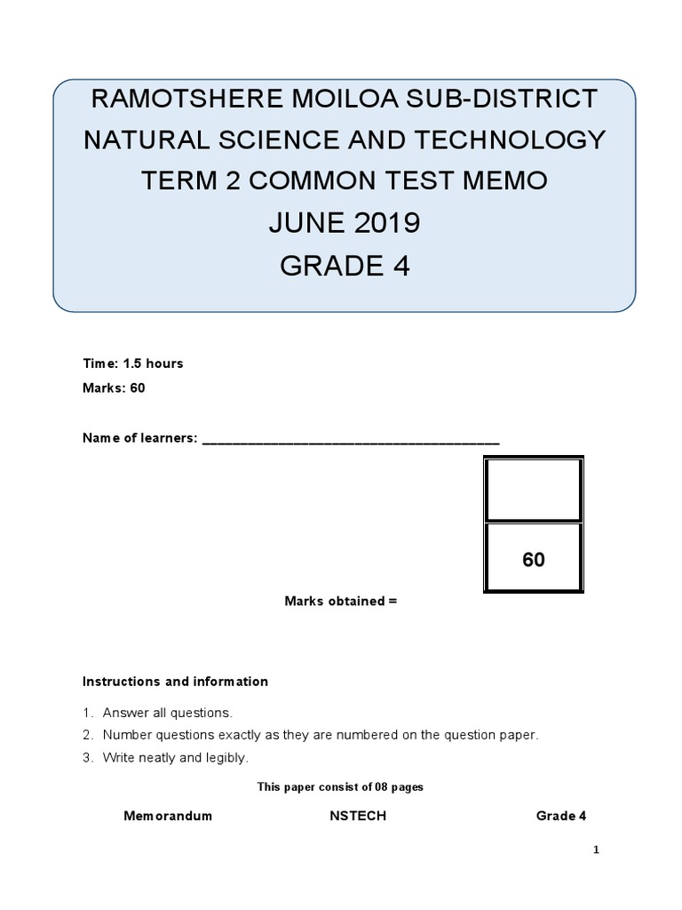 Nstech Grade 4 June 2019 Memo 1 | PDF