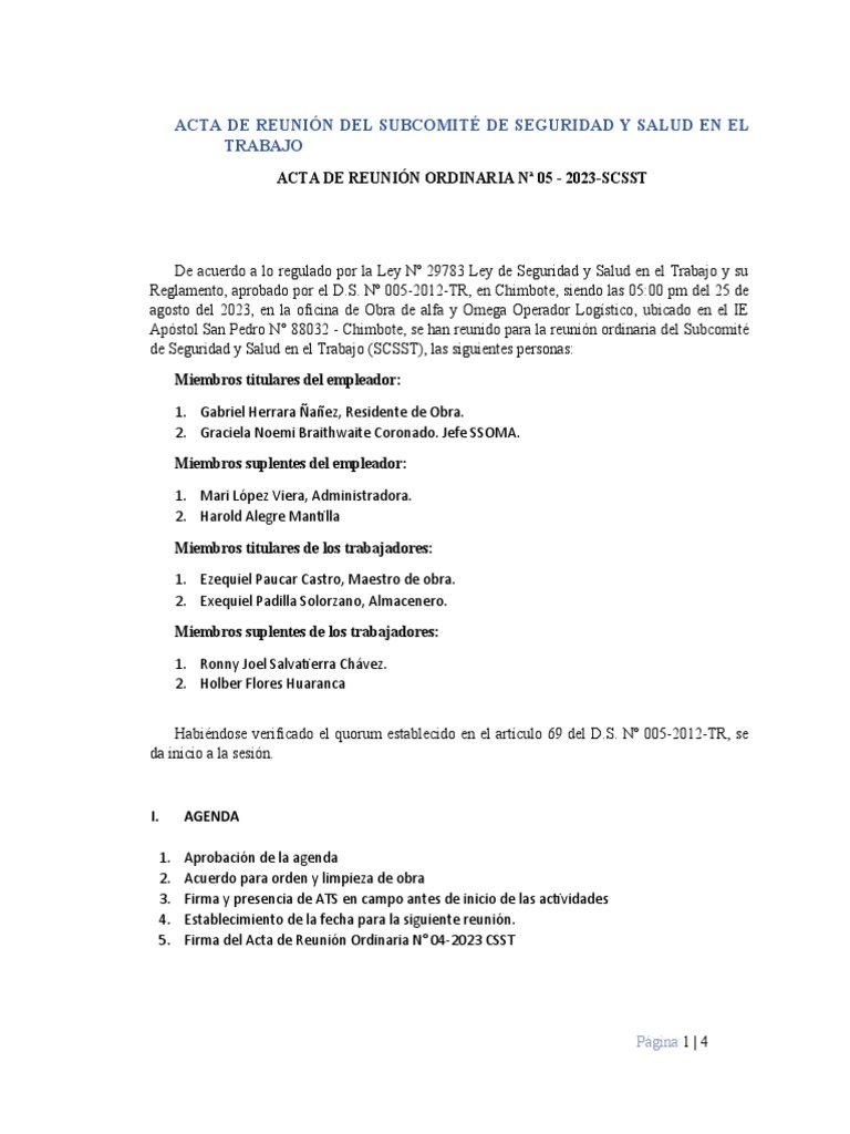 Acta de Reunión Ordinaria N°05 SCSST | PDF | Gobierno