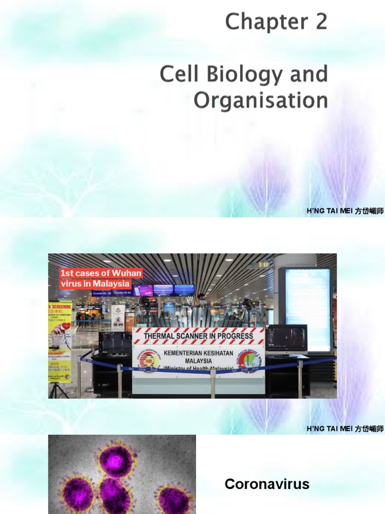 Chapter 2 Cell Biology and Organisation | Download Free PDF | Human ...