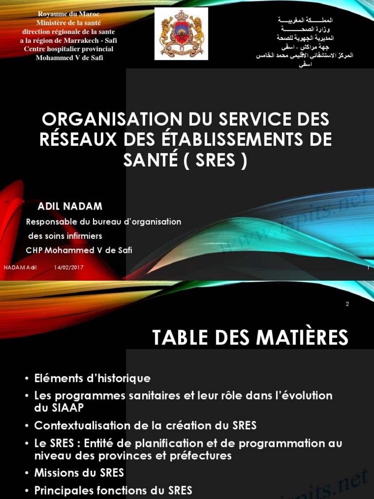 SRES Service Des Rseaux Des Tablissements de Sant | PDF | Santé ...
