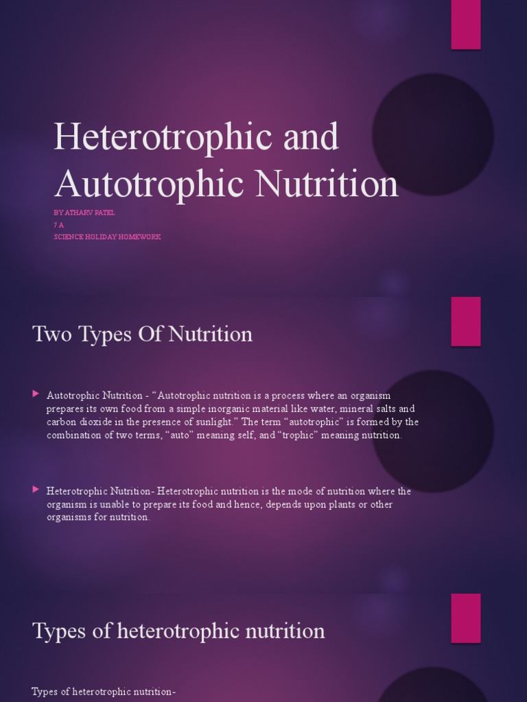 Heterotrophic and Autotrophic Nutrition | PDF
