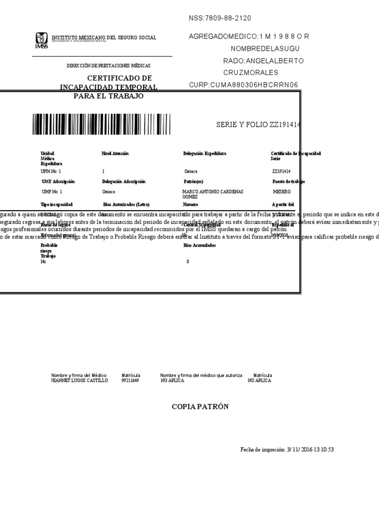 Formato Incapacidad Imss Editable Word | PDF