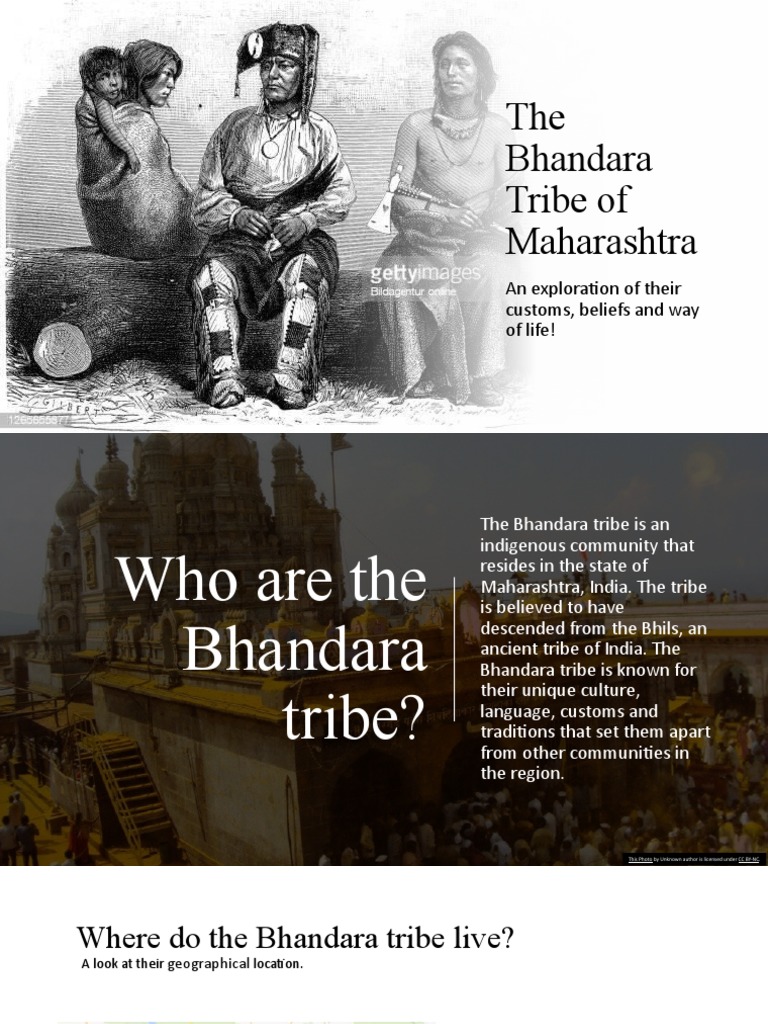 Bhandara Tribe | PDF