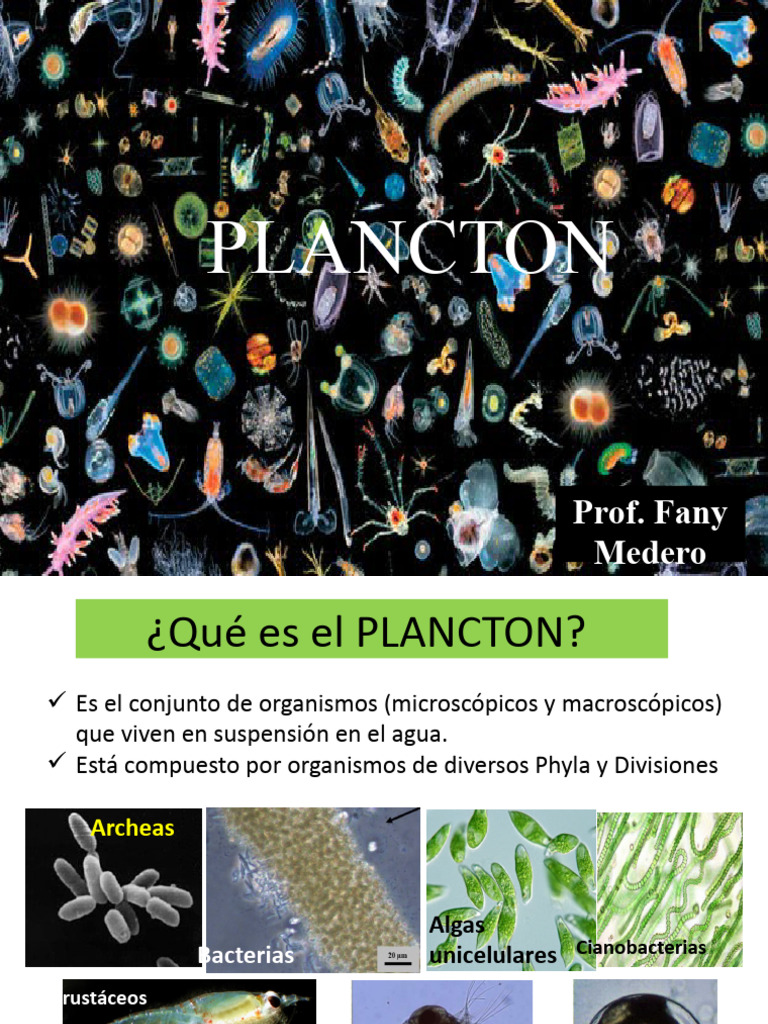 PLANCTON | PDF | Organismos | Ciencias de la Tierra