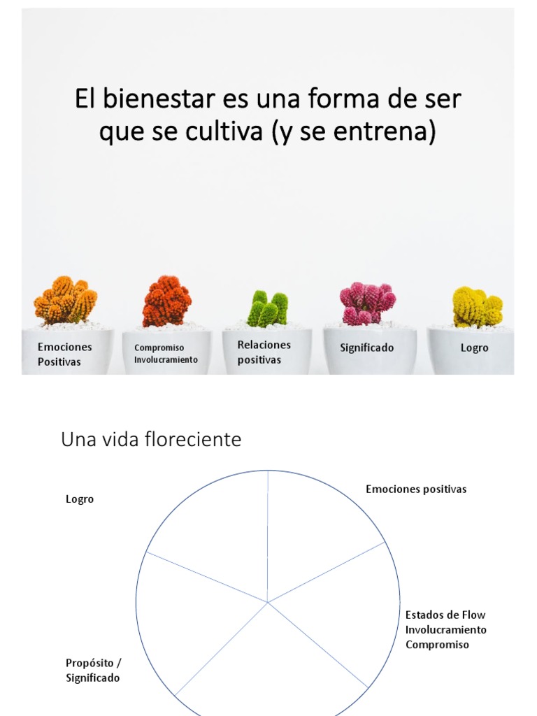 3 Rueda de La Vida Florenciente | PDF | Crecimiento personal y profesional