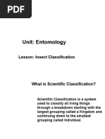 Entomology Science Olympiad Entomolgy Binder | PDF | Dragonfly | Insects
