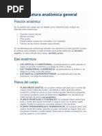 Términos de Lateralidad en Anatomía | PDF | Términos anatómicos de ...