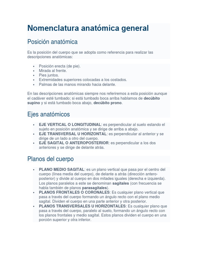 Nomenclatura Anatómica y Posiciones del Cuerpo | PDF | Términos ...
