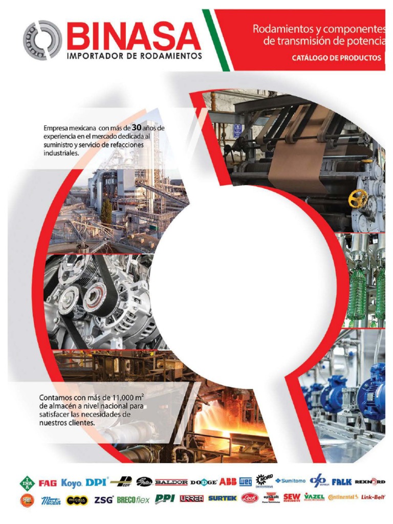 Carta Presentacion Binasa Mexico 2022 | PDF