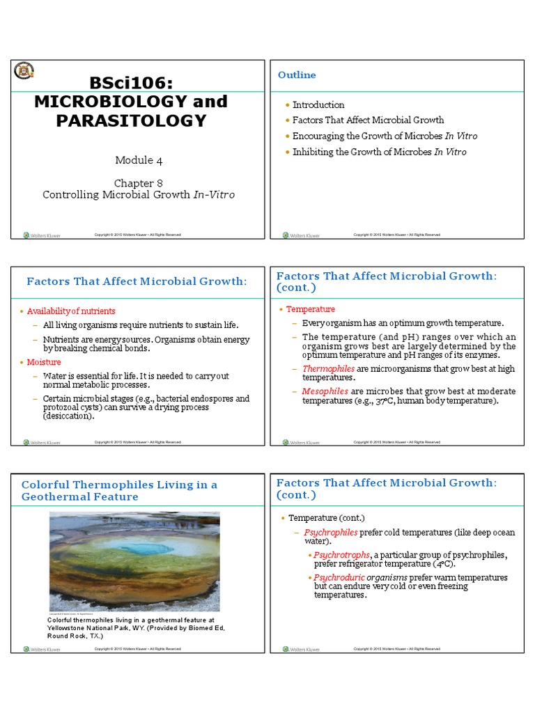 Chapter 8 Controlling Microbial Growth in Vitro | PDF