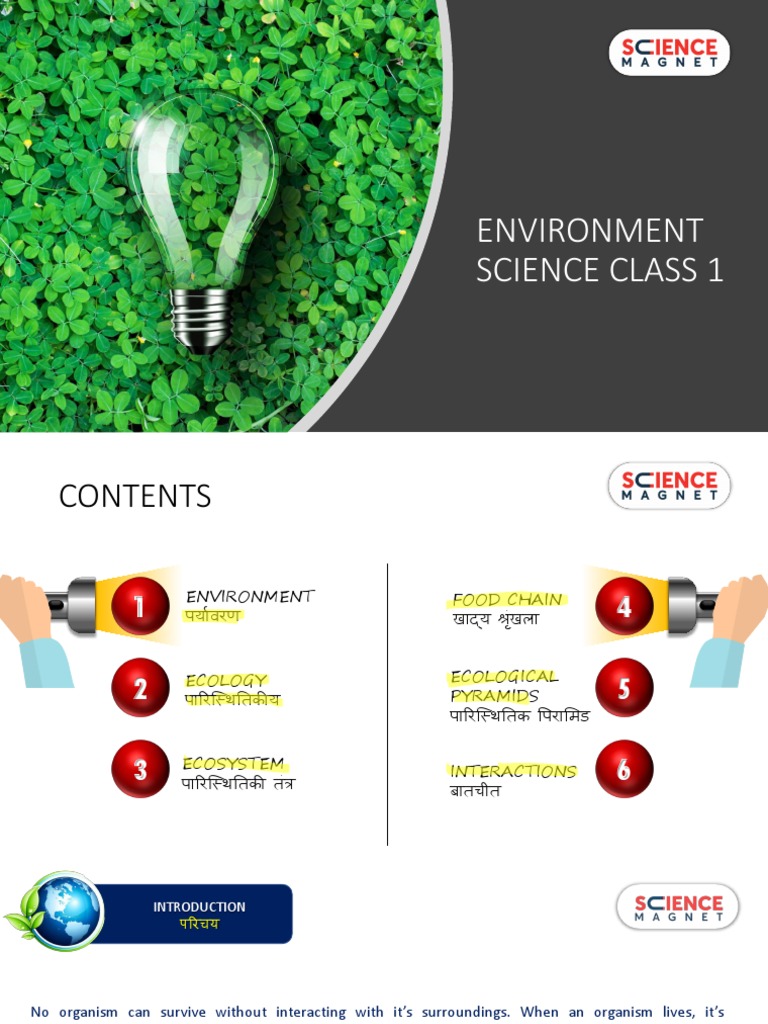 Environment Class 1 20230729114743 | PDF