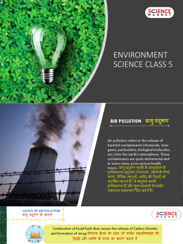 Environment Class 5 20230729115056 | PDF