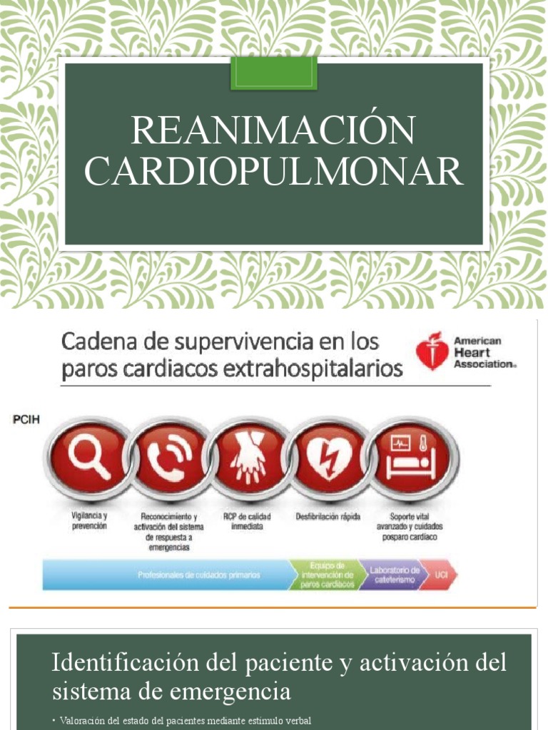 Reanimación Cardiopulmonar | PDF | Reanimación cardiopulmonar | Cardiología