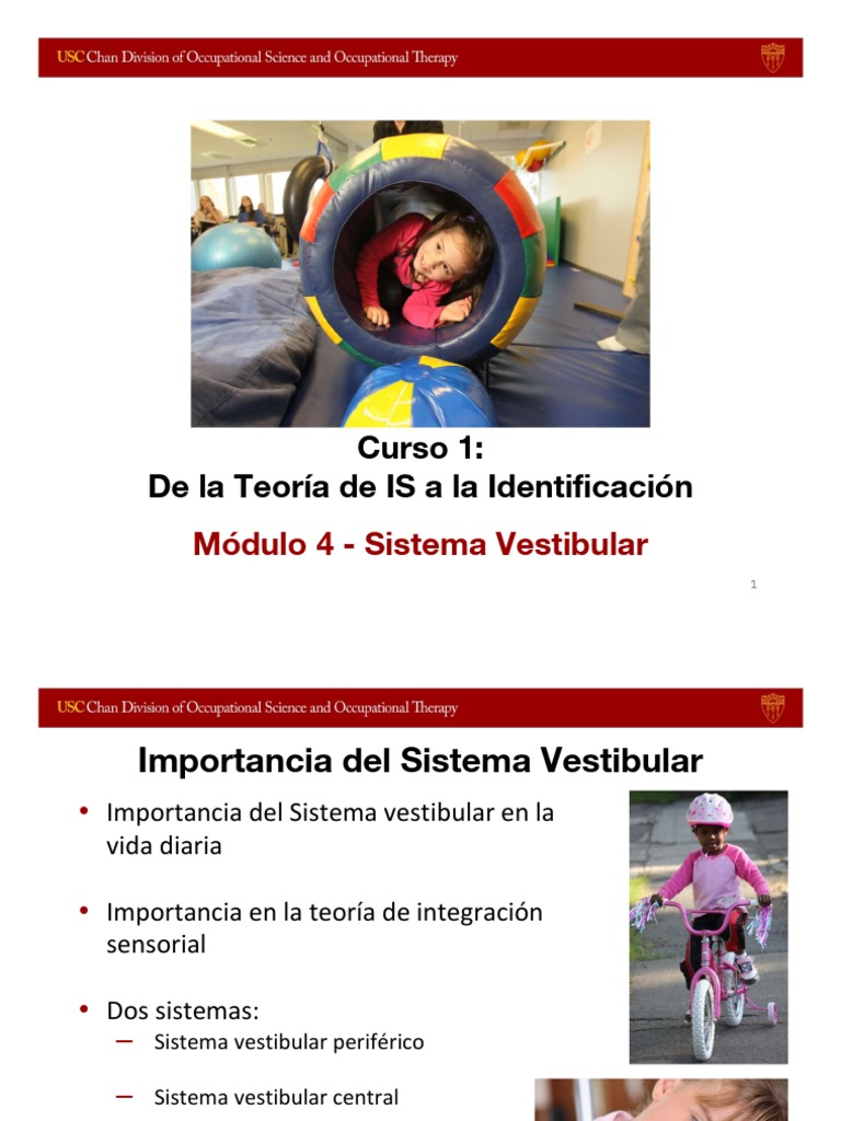 C1 Module4 SP | PDF | Sistema nervioso | Neurociencia