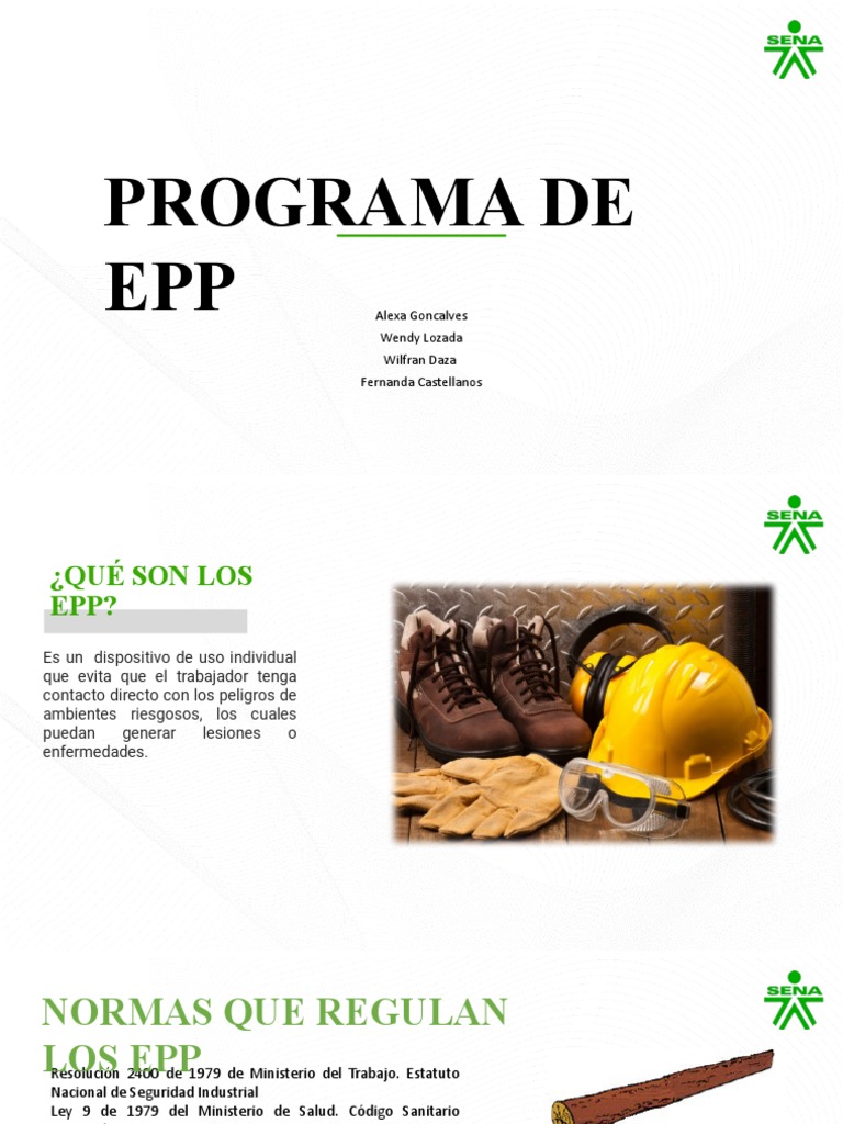 Programa de Epp 2 | PDF