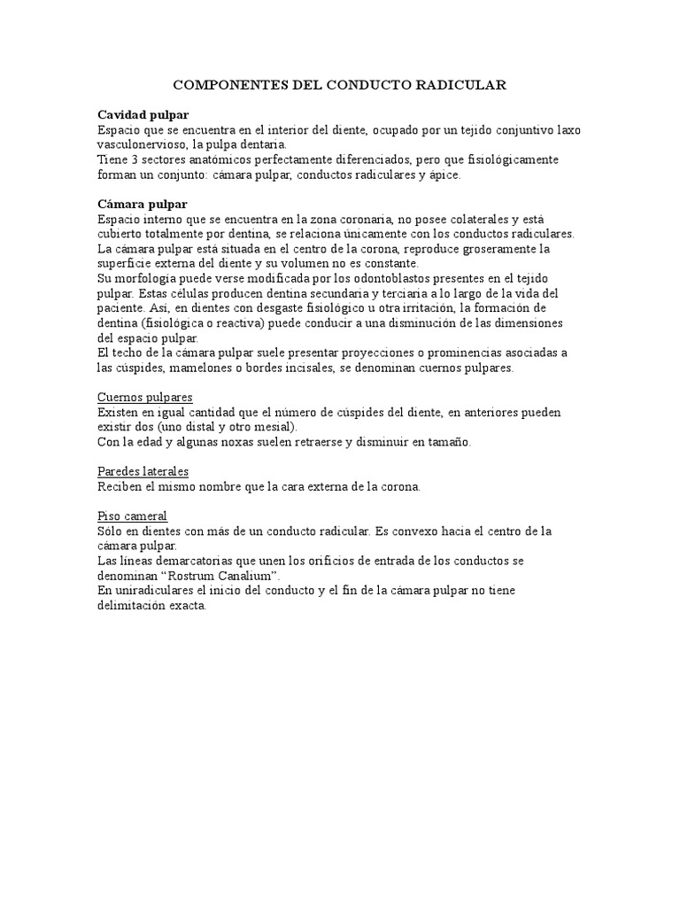 Anatomía del Conducto Radicular | PDF | Anatomía