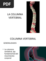 Anatomía de las vértebras D10, D11 y D12 | PDF | Vértebra | Tórax