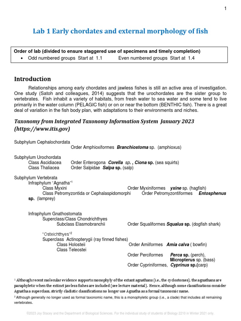 Lab 1 | PDF | Fish | Anatomical Terms Of Location