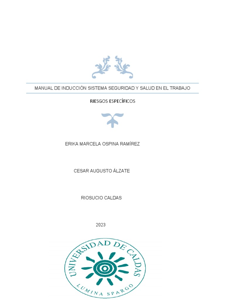Manual De Induccion Pdf