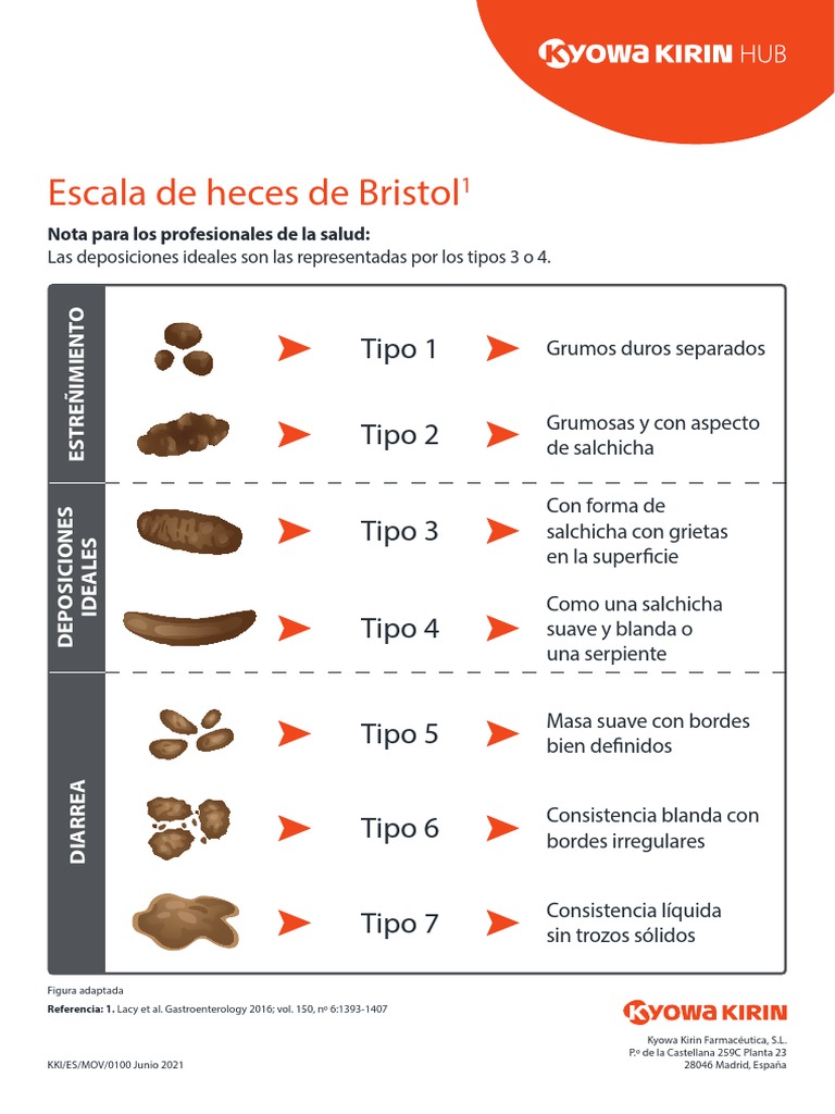 Escala de heces de Bristol1 | PDF