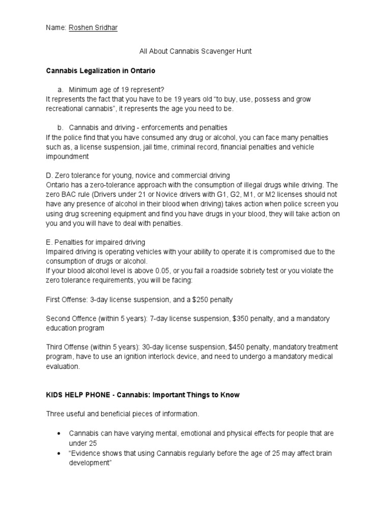 All About Cannabis Scavenger Hunt | PDF | Cannabis (Drug) | Driving ...