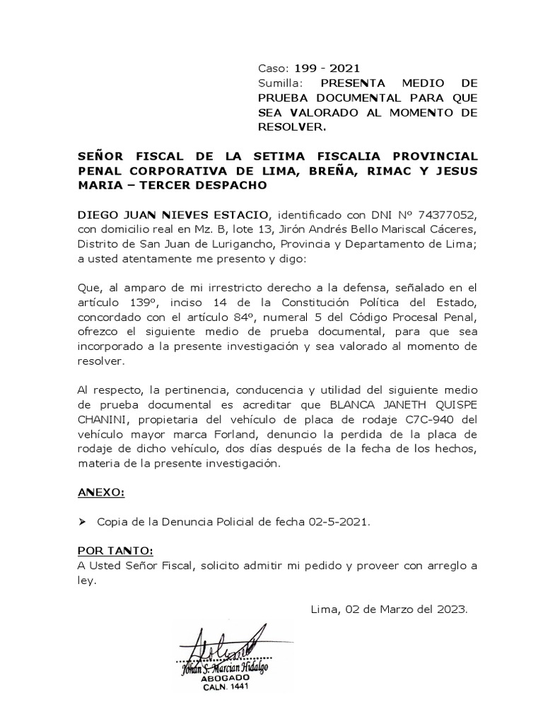 Presenta Medio de Prueba Documental | PDF