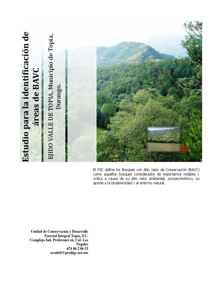 Estudio de Bvac Ejido Valle de Topia | PDF | Clima templado | Los bosques