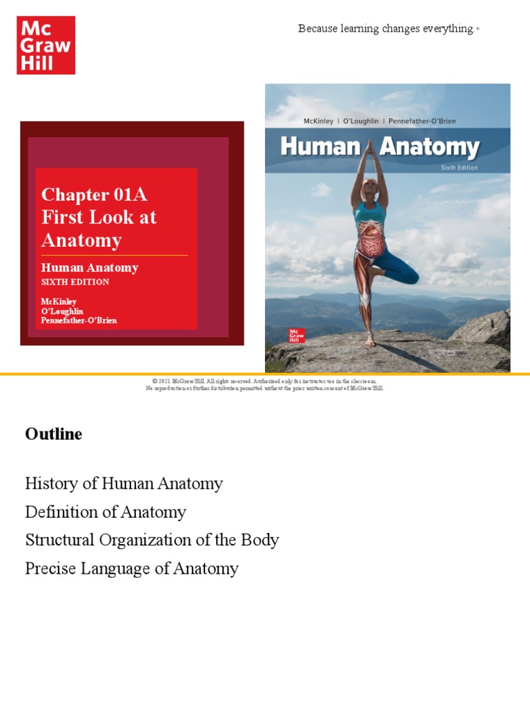Chapter 1 | PDF | Anatomical Terms Of Location | Peritoneum