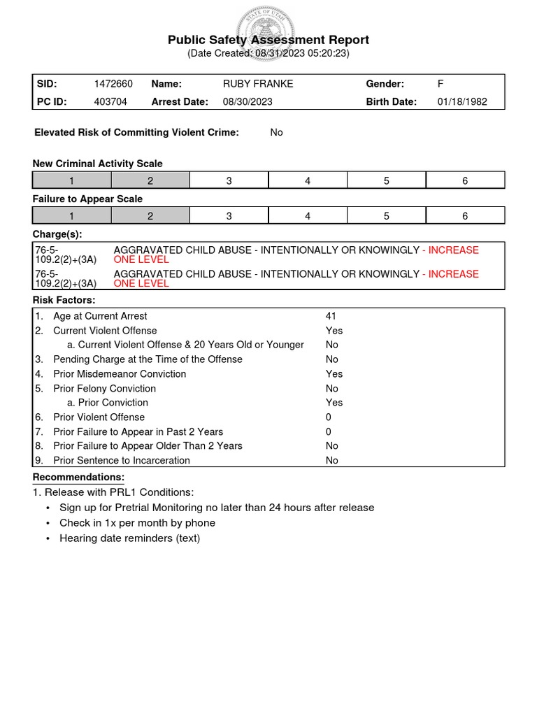 Ruby Franke Public Safety Assessment | PDF | Crime & Violence | Law ...