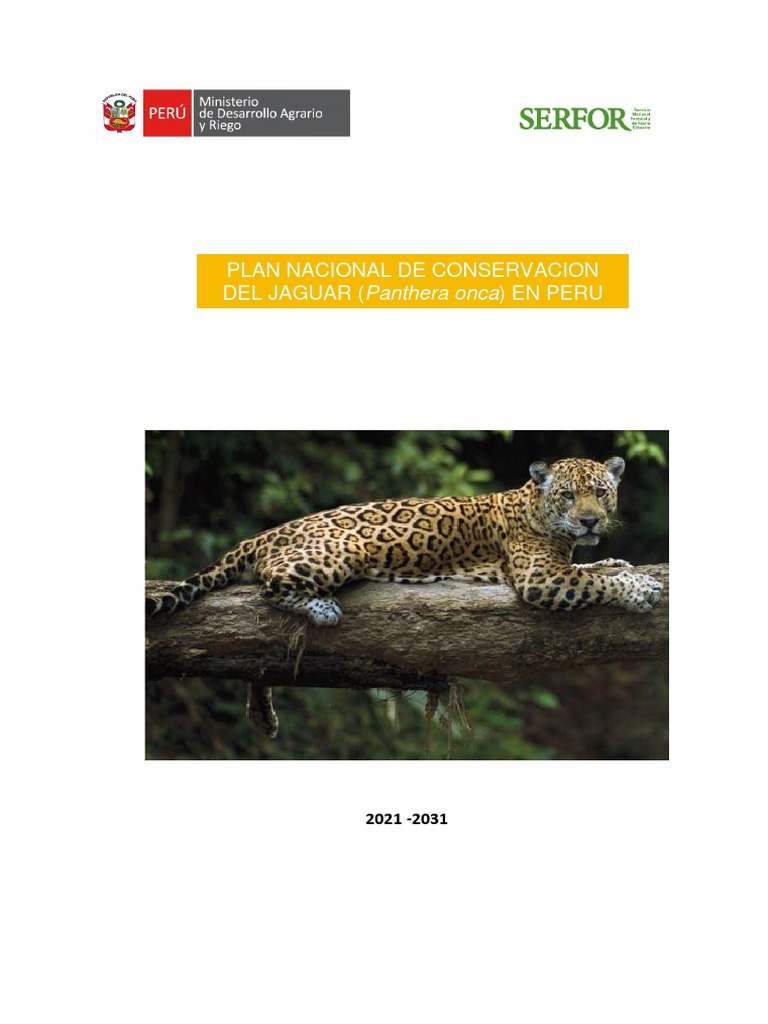 Plan de Conservacion de Jaguar Final | PDF | Jaguar | Ecología
