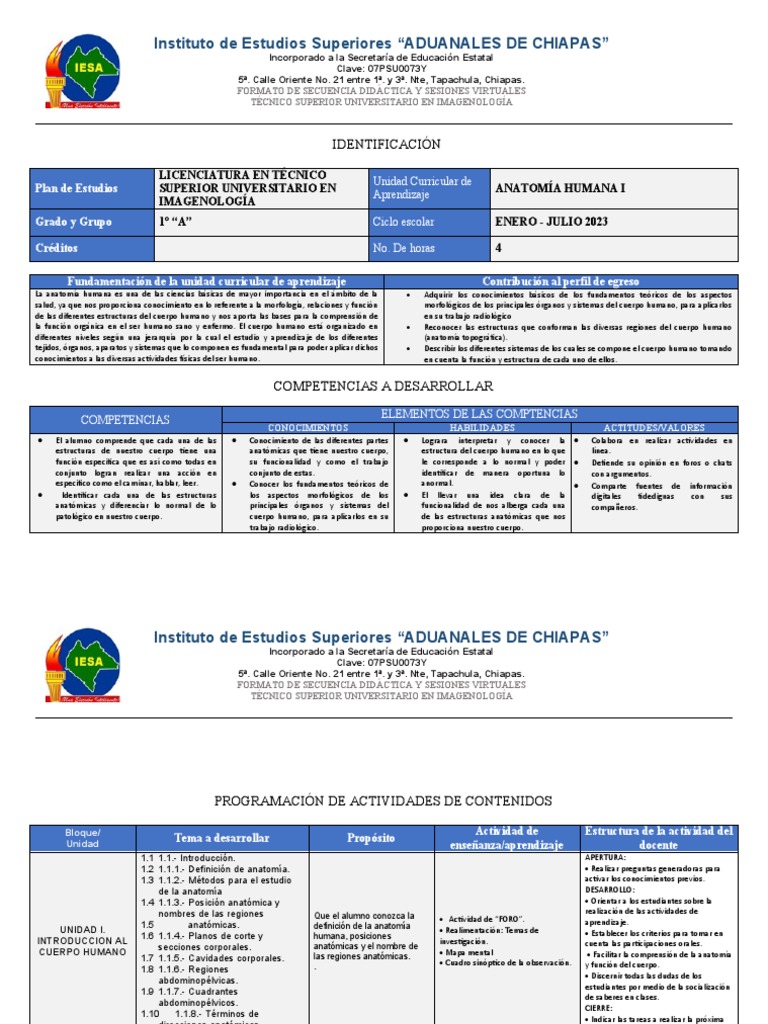 Secuencia Didáctica TSUI ANATOMIA Realizando | Descargar gratis PDF | Evaluación | Articulación