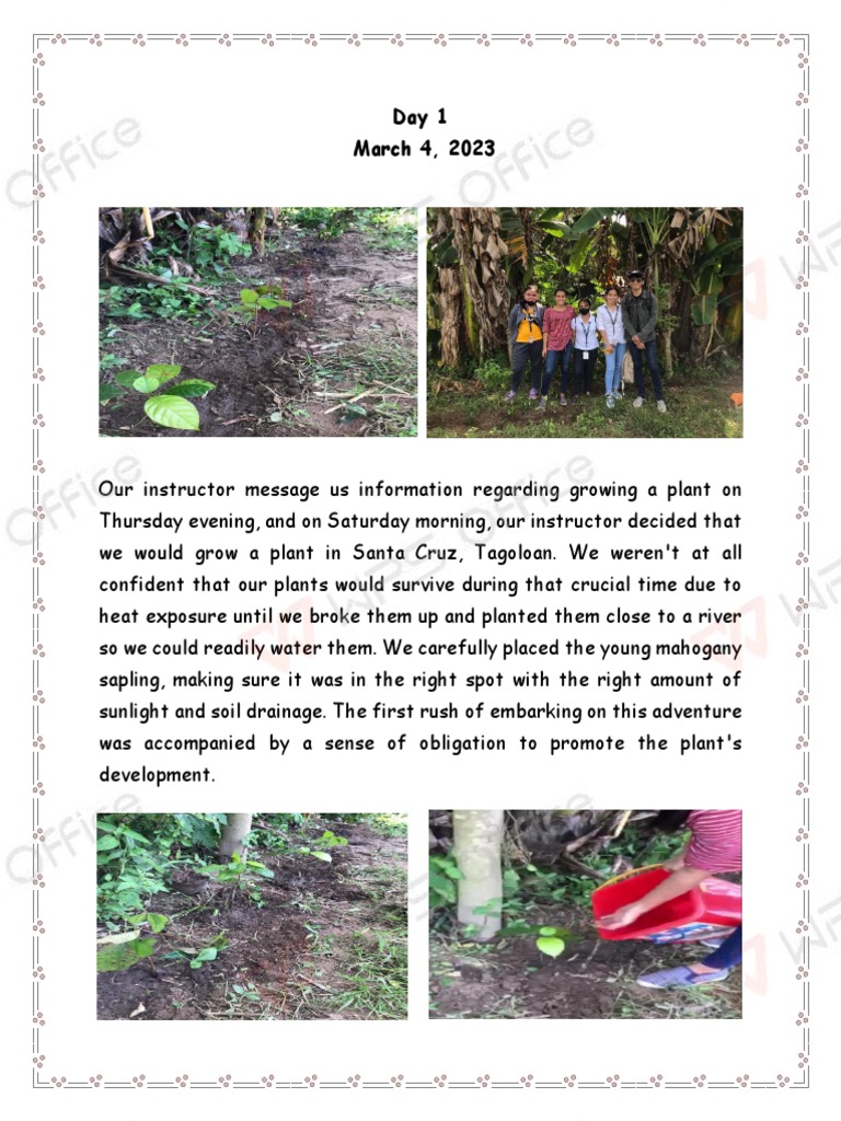 NSTP Growing A Plant | PDF