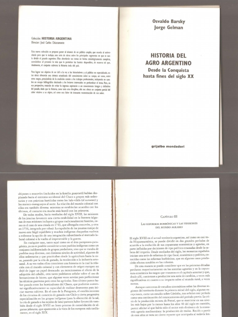 Barsky Gelman Cap. III | PDF