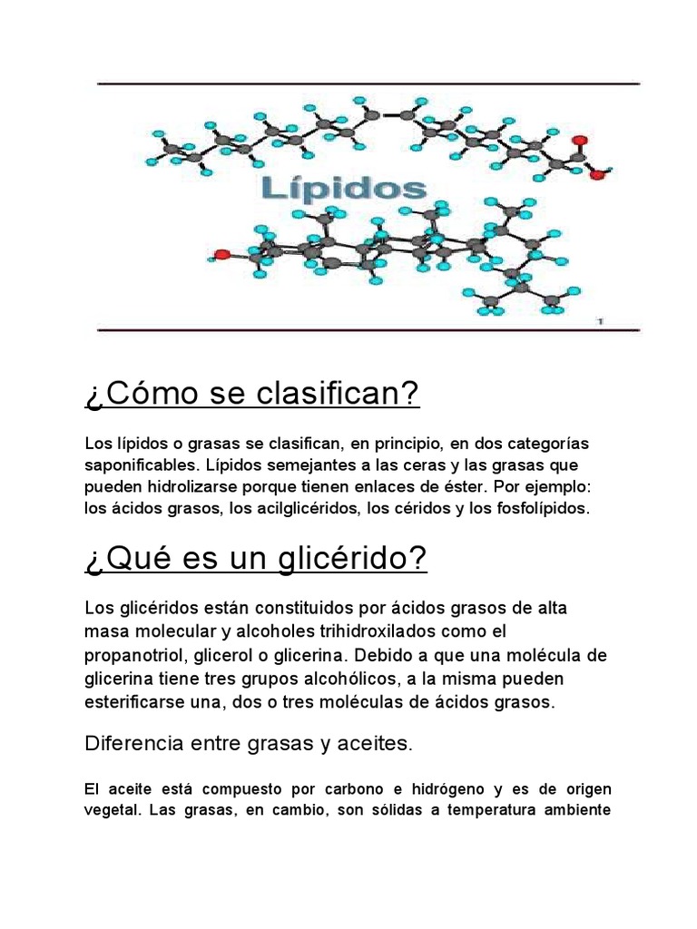 Lipidos | PDF